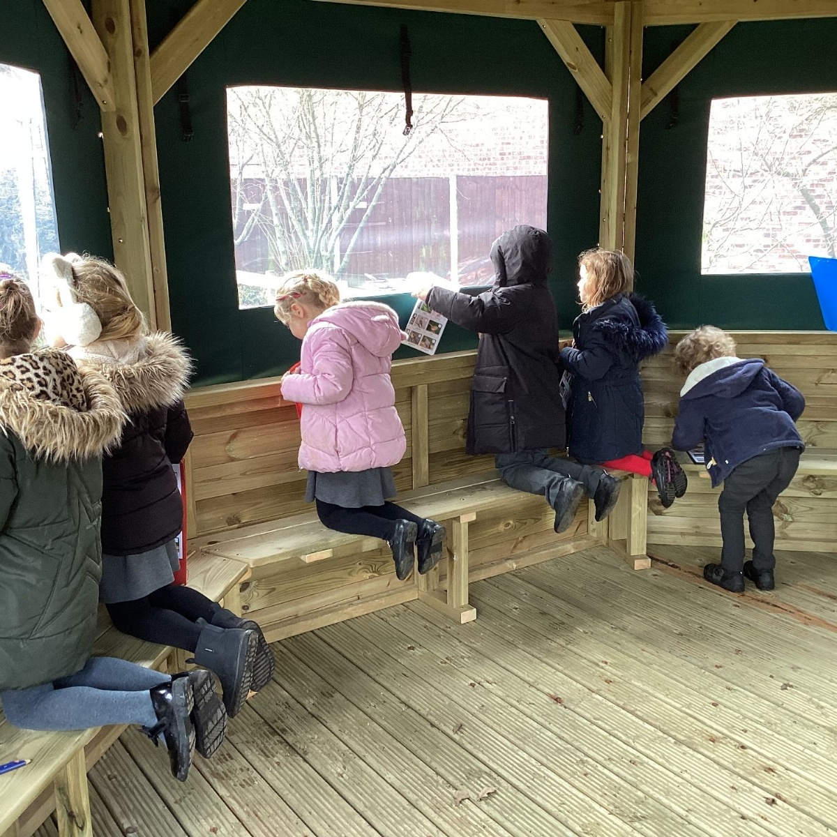 Halam C of E Primary School - Bird watching
