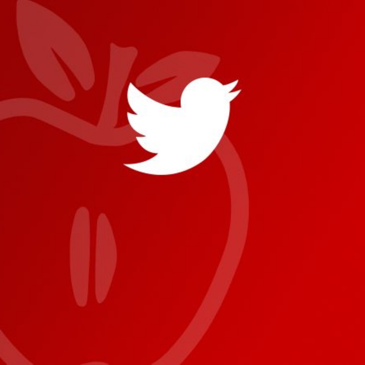 Halam C of E Primary School - Halam School Twitter Updates